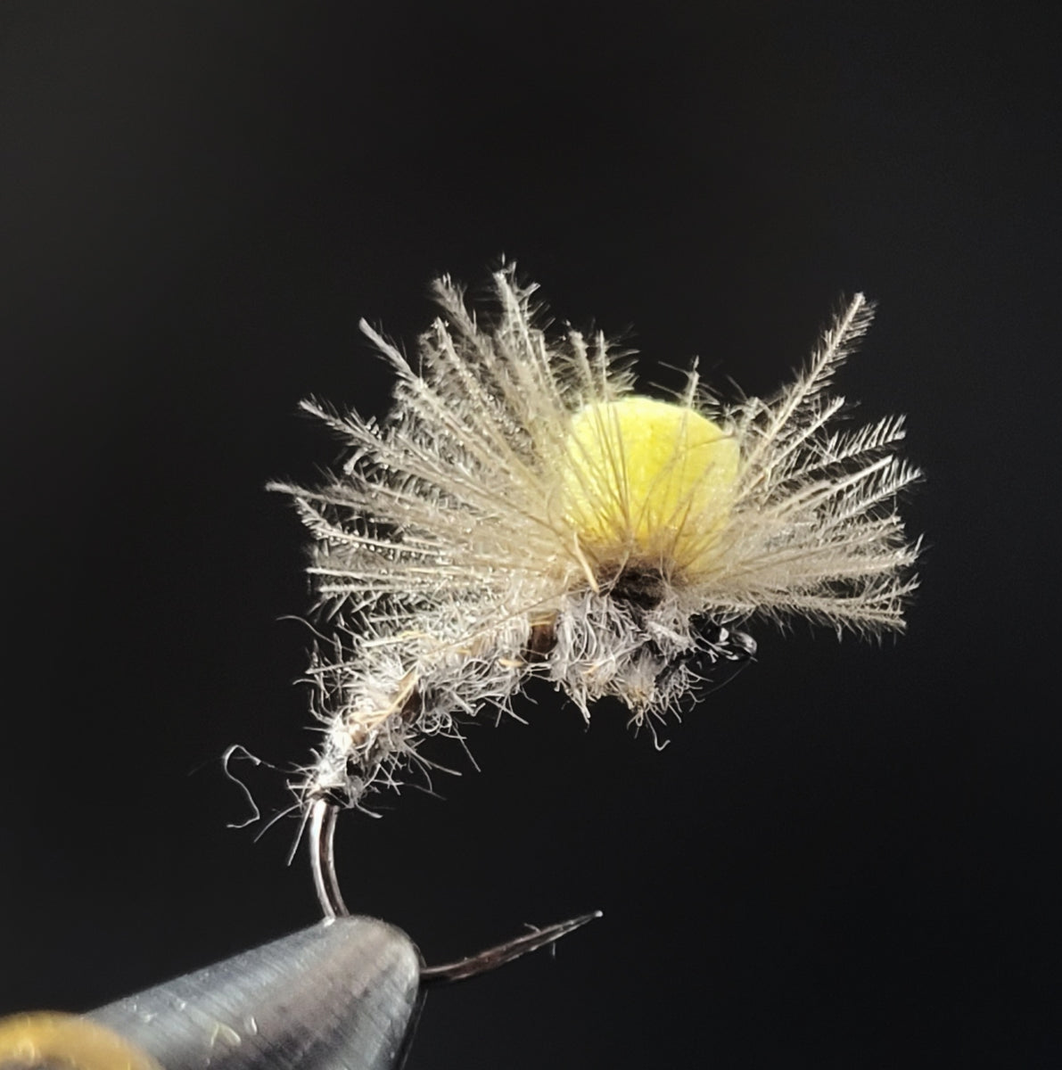 Ugly Fly – Smart Angling
